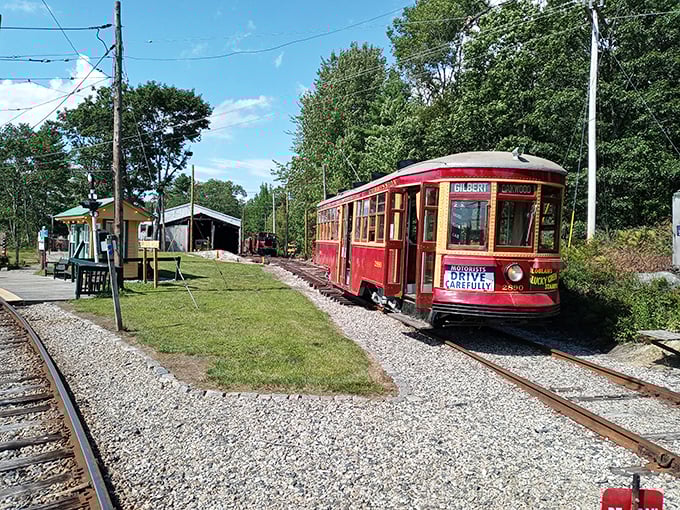 All aboard the nostalgia express! This vibrant trolley isn't just a relic; it's a time machine on wheels, ready to whisk you away to a bygone era of urban charm.