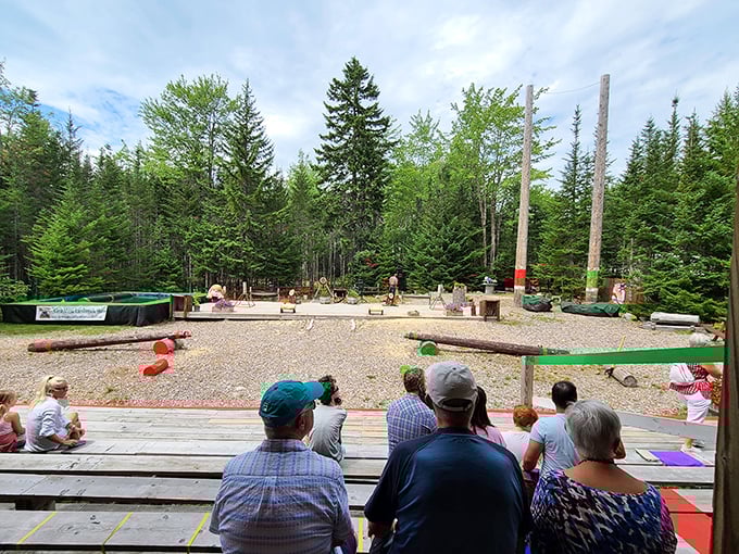 Nature's amphitheater: Where the trees are the audience and the sky is the spotlight. A rustic stage set for lumberjack legends in the making.