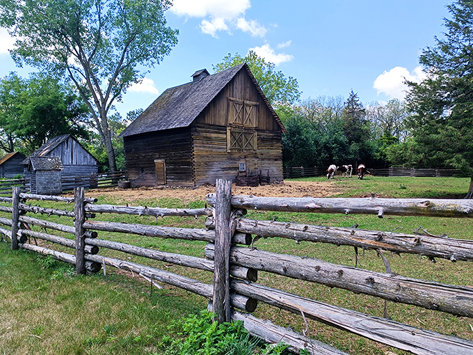 Rustic charm meets pioneer spirit! This weathered barn and split-rail fence transport you straight to the 1800s, no DeLorean required.