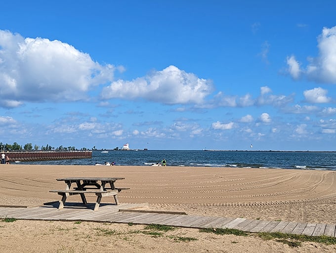 "Who needs a tropical getaway? This picnic table is your ticket to relaxation, Ohio-style. Just don't forget your sunscreen &ndash; Lake Erie doesn't mess around!"