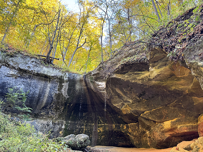 Nature's hidden grotto: A secluded waterfall cascades over rugged rock formations, framed by golden autumn foliage in a tranquil forest setting.
