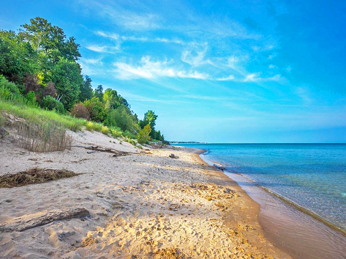 Mother Nature's masterpiece: Lake Michigan's turquoise waters meet golden sands, creating a view that'll make your Instagram followers green with envy.