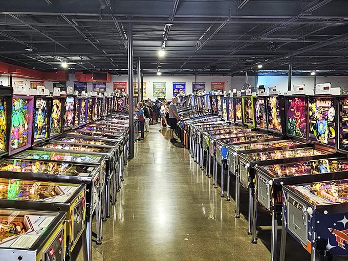 Welcome to pinball paradise! Rows of flashing lights and gleaming machines stretch as far as the eye can see, promising hours of nostalgic fun.