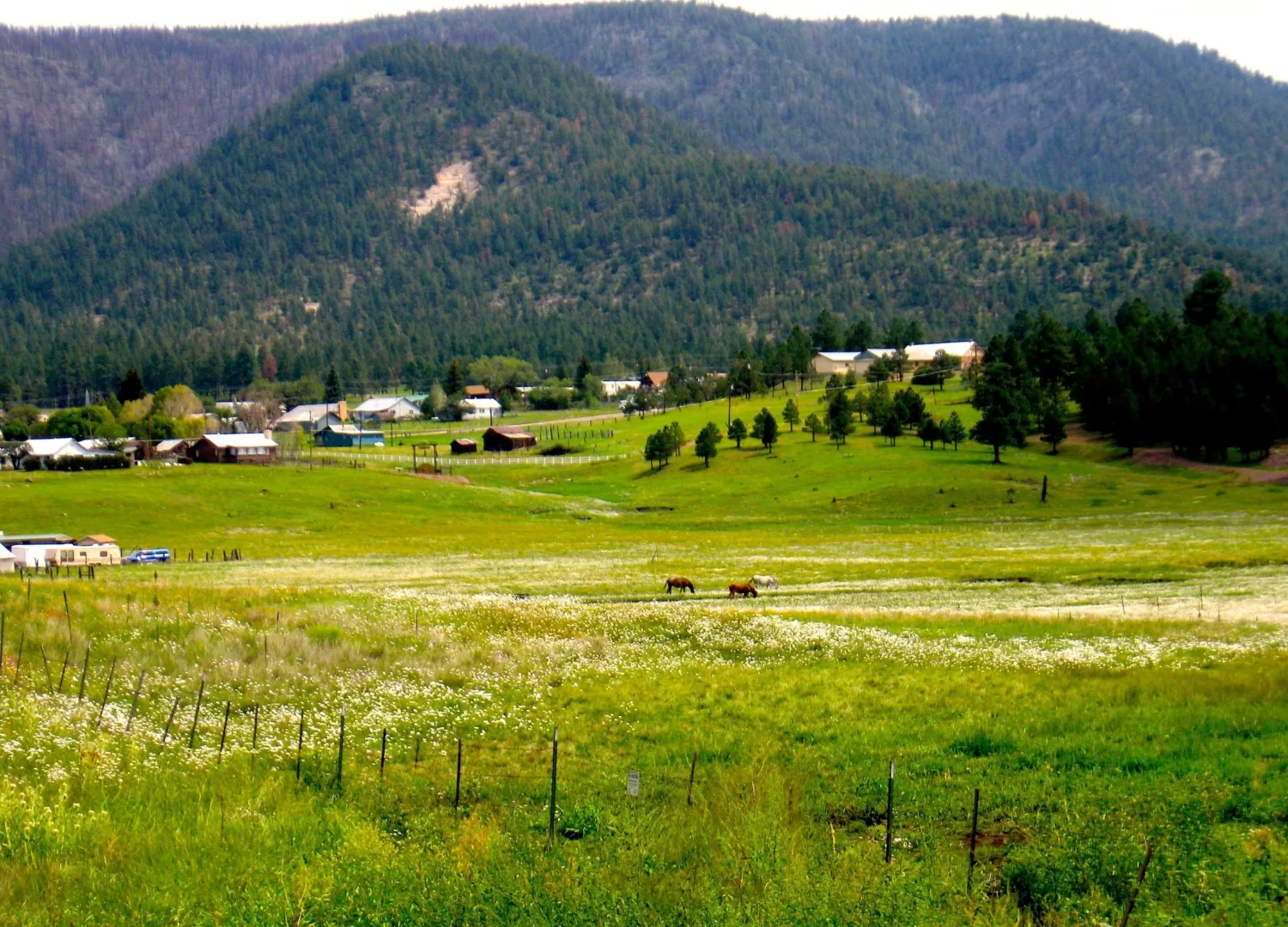 Postcard-perfect panorama or real life? Alpine's rolling hills and cozy homes make you wonder if you've stumbled into a Bob Ross painting come to life.
