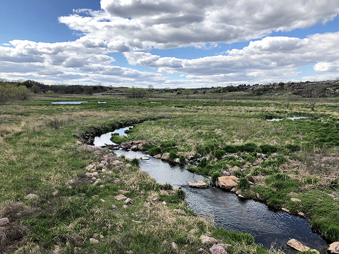 Where the buffalo roam&hellip; and pose for selfies!