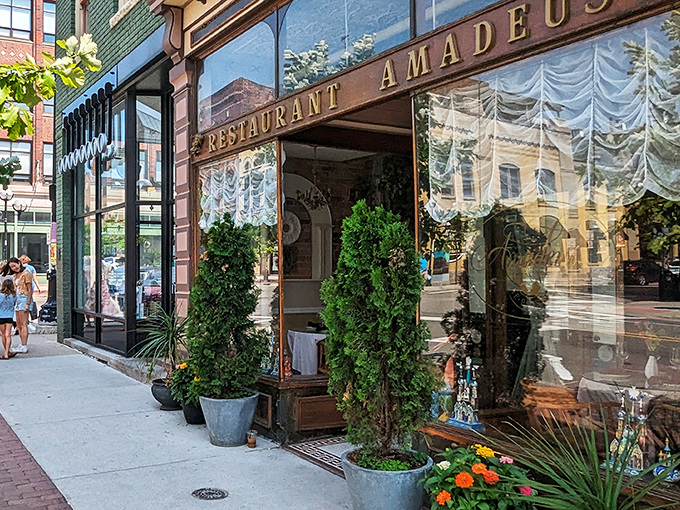 Step into a European fairytale! Amadeus beckons with its charming facade, lace curtains, and vibrant flowers &ndash; a slice of Old World magic on a bustling Ann Arbor street.