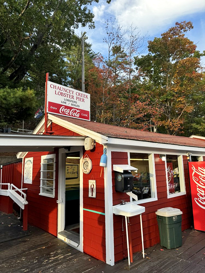 A postcard come to life! Chauncey Creek's cherry-red exterior pops against the serene waters, inviting seafood lovers to embark on a delicious adventure.