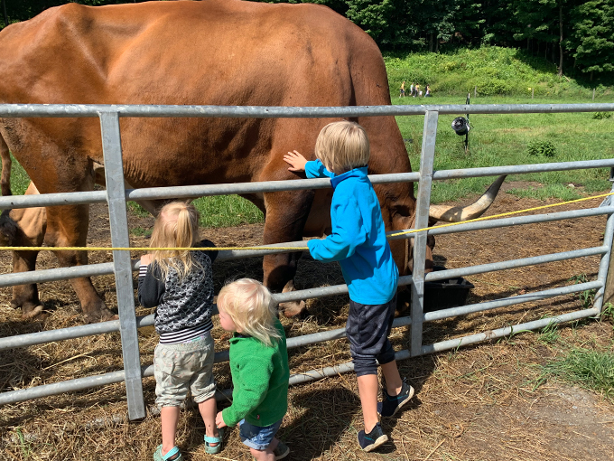 Welcome to Vermont's own Shangri-La! This pastoral paradise at Retreat Farm is where cows have better views than most Manhattan penthouses.