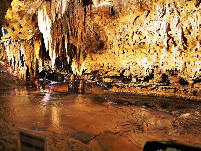 Nature's own Sistine Chapel! Stalactites and stalagmites create a mesmerizing underground tableau, with golden hues that would make Midas jealous.