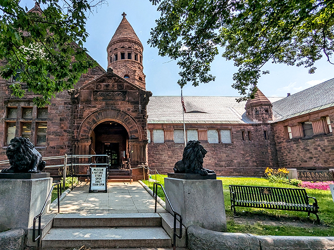 Hogwarts meets Natural History! This stunning Romanesque revival building houses wonders that would make even Dumbledore's eyes twinkle with curiosity.