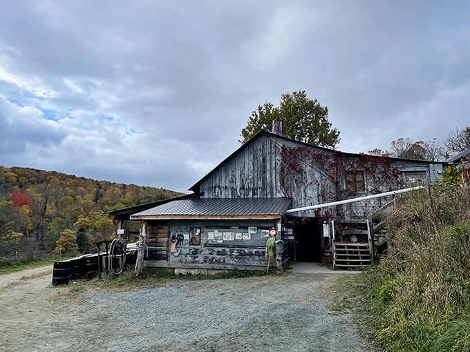 Vermont's version of heaven on earth: Sugarbush Farm nestled in rolling hills, where cheese dreams and maple fantasies come true.