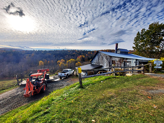 Vermont's version of heaven on earth: Sugarbush Farm nestled in rolling hills, where cheese dreams and maple fantasies come true.