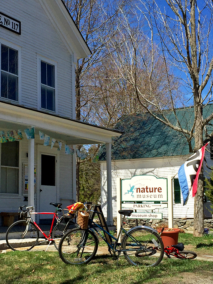 A slice of Vermont heaven! This charming white clapboard building houses more wonders than you'd expect. It's like Narnia decided to set up shop in New England.