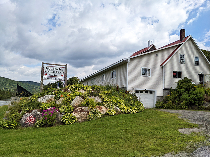 A postcard-perfect Vermont scene: Goodrich's Maple Farm stands proud against a backdrop of painted hills. It's like Mother Nature's own sugar shack!