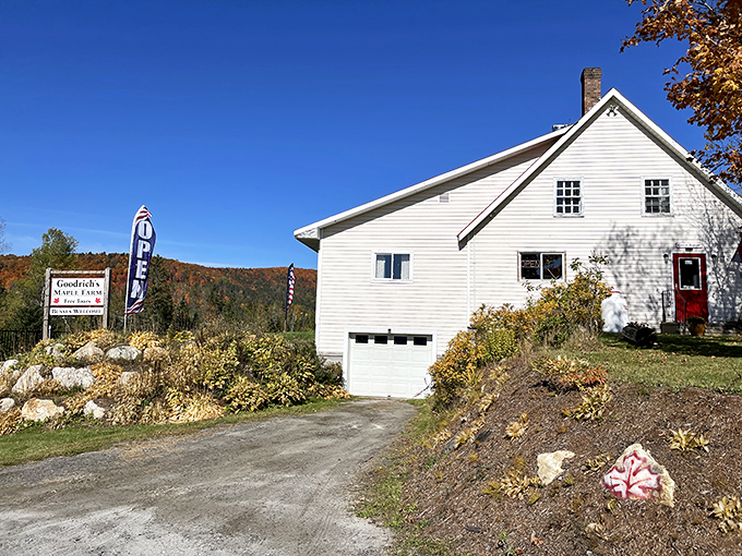 A postcard-perfect Vermont scene: Goodrich's Maple Farm stands proud against a backdrop of autumn-painted hills. It's like Mother Nature's own sugar shack!