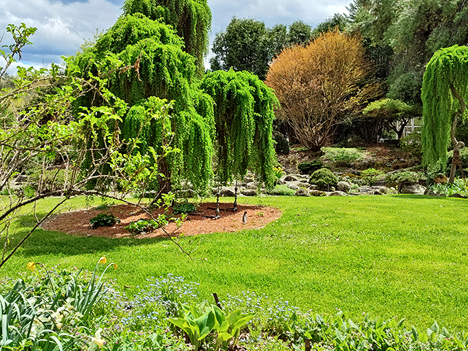 Welcome to nature's own Zen garden! This enchanting entrance sets the stage for a botanical adventure that'll make you forget all about your to-do list.
