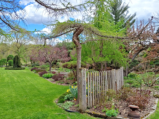 Welcome to nature's own Zen garden! This enchanting entrance sets the stage for a botanical adventure that'll make you forget all about your to-do list.