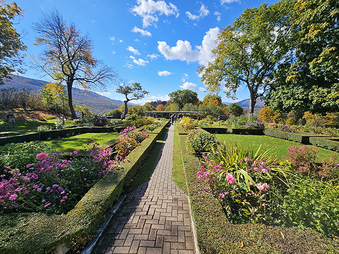 A garden path to presidential paradise! Stroll through this floral wonderland, where history and horticulture collide in a burst of color and fragrance.