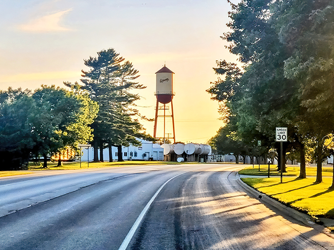 Welcome to Harmony, where the corn is high and the living is easy! This bird's-eye view showcases the town's perfect blend of rural charm and modern convenience.