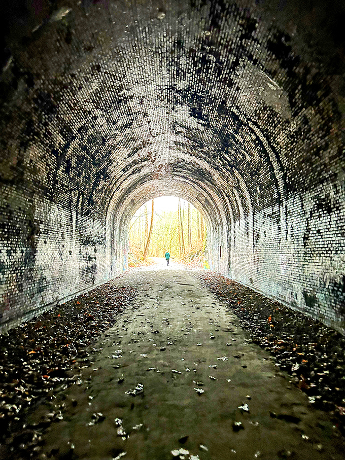Nature's graffiti-covered time machine: Moonville Tunnel stands like a portal to the past, inviting adventurers to step into Ohio's industrial history.