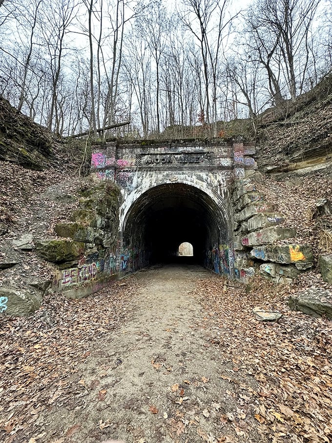 Nature's graffiti-covered time machine: Moonville Tunnel stands like a portal to the past, inviting adventurers to step into Ohio's industrial history.