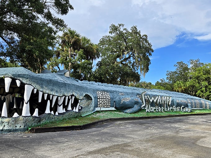Welcome to Jurassic Park's quirky cousin! Swampy, the World's Largest Alligator, grins wide, inviting brave souls into a world where prehistoric meets pure Florida fun.