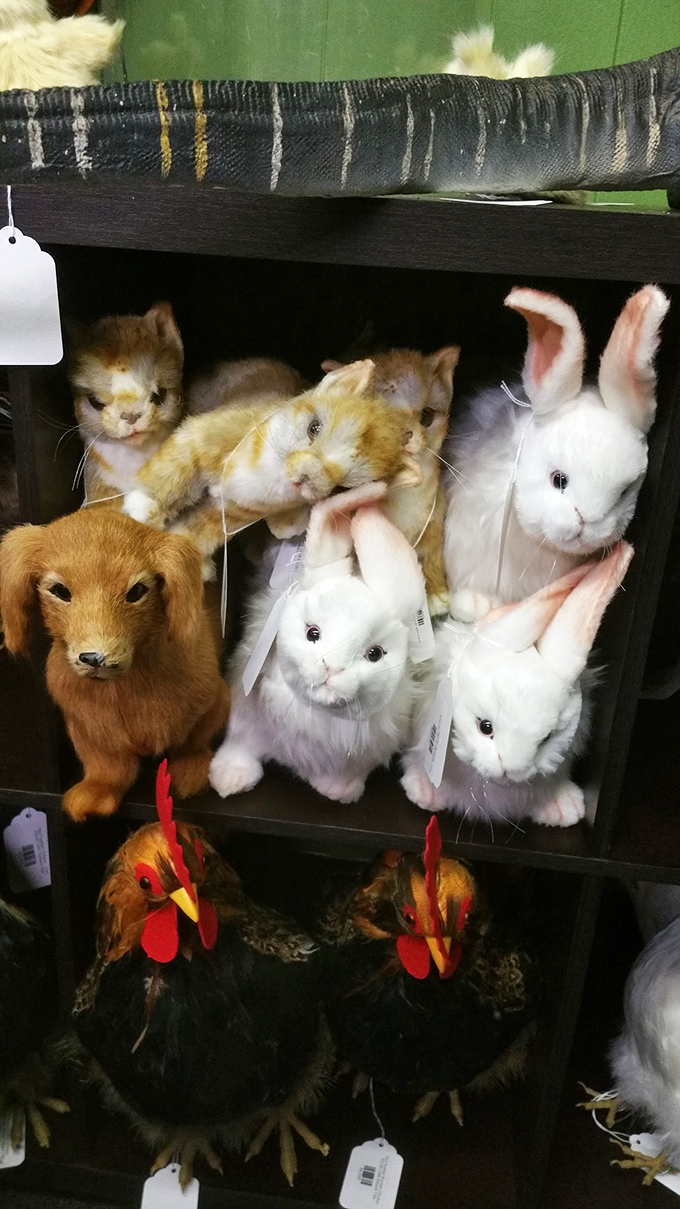 Hop to it! These fuzzy friends are multiplying like... well, you know. The perfect pets for Alice's Wonderland tea party.