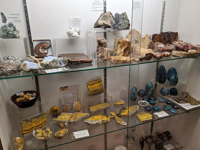 Jurassic spark! These fossils are like nature's time capsules, no DeLorean required.