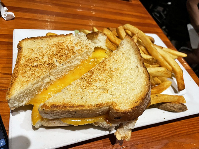 Grilled cheese: the OG comfort food. This golden-brown beauty is like a warm hug for your stomach.