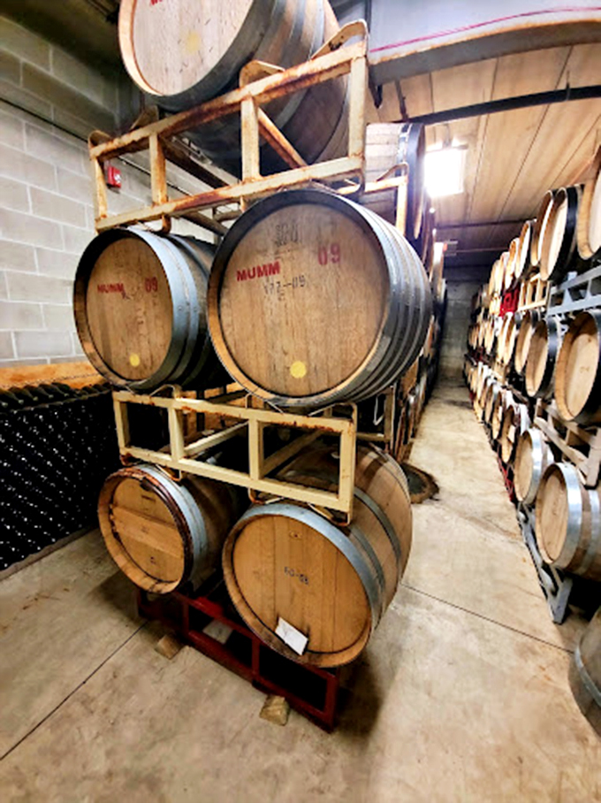 Oak barrels as far as the eye can see. It's like Donkey Kong's playground, but for grown-ups.