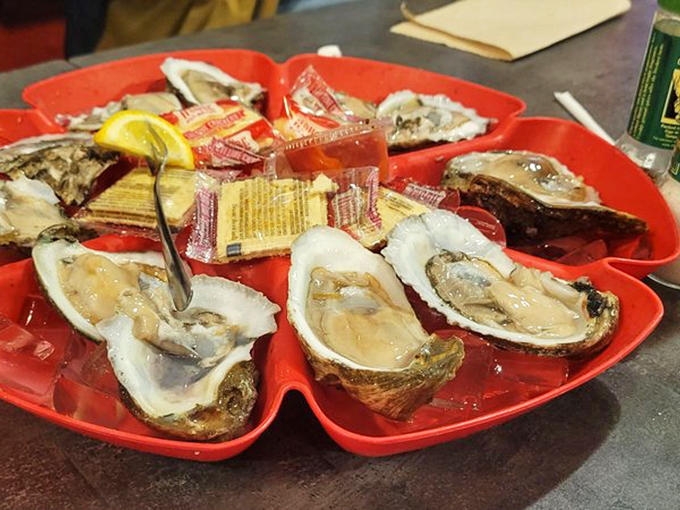 Oysters, nature's briny little treasures. These beauties are so fresh, you can practically hear the ocean whispering, "Enjoy responsibly!"