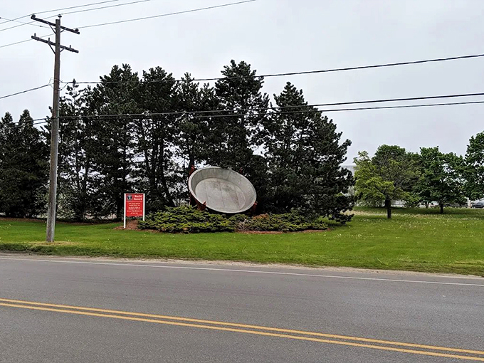 Pie pan meets telephone pole. It's not every day you see kitchen equipment that rivals local infrastructure.