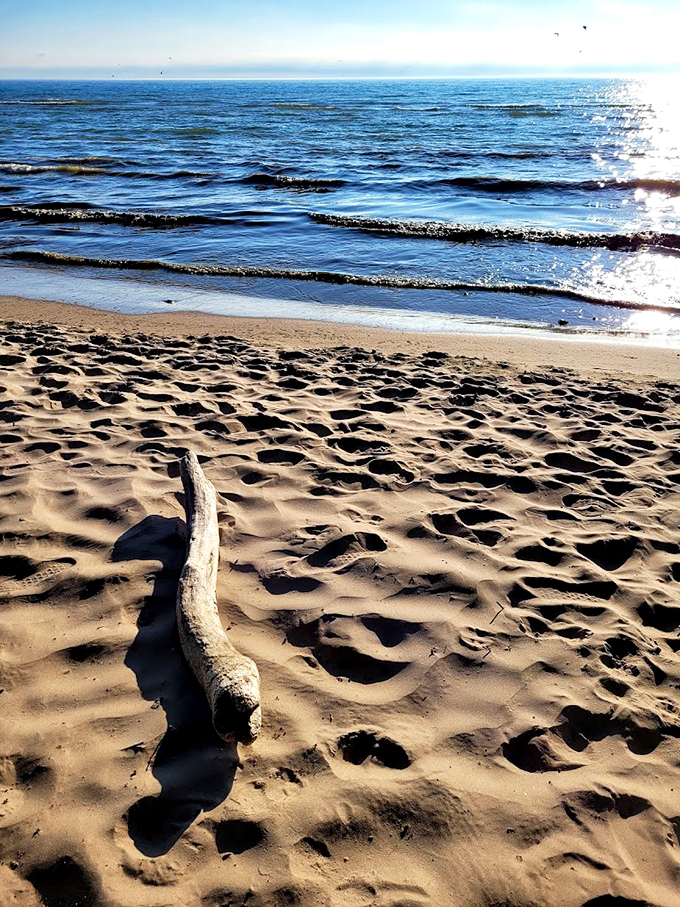 Who needs a StairMaster when you've got nature's own leg workout?