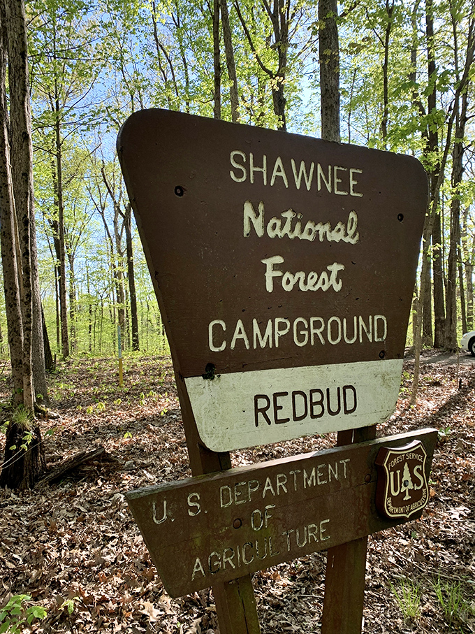 Shawnee National Forest: Where "roughing it" means forgetting to bring your memory foam pillow. Camping never looked so inviting!