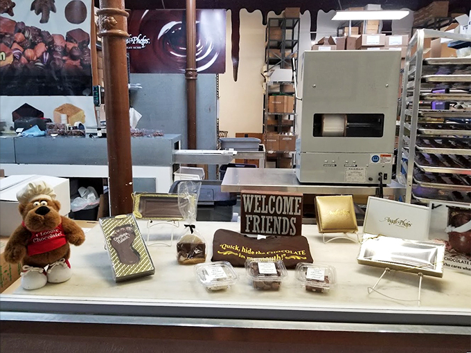 "Welcome, friends," indeed! These bite-sized morsels are like tiny ambassadors from the land of chocolate, extending a delicious invitation.