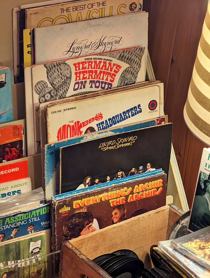Spin doctors of nostalgia! These vinyl treasures are a mixtape of memories, from Lynyrd Skynyrd to The Monkees - let the good times roll!