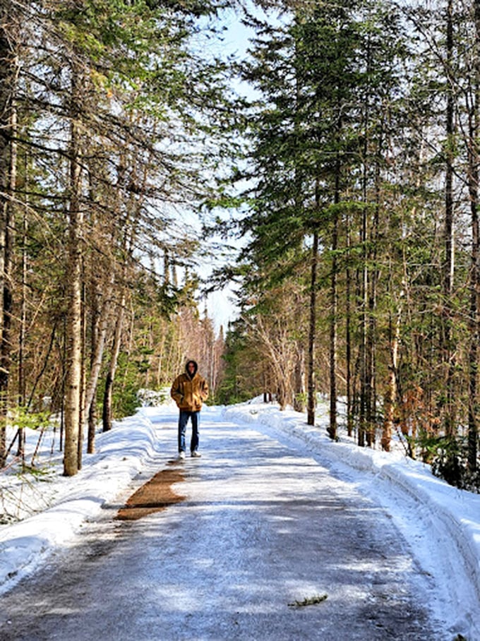 Winter wanderland! This snow-covered trail invites you to channel your inner explorer, just don't forget your woolly mammoth-sized parka.