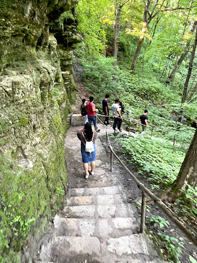 Indiana Jones, eat your heart out! These intrepid explorers are braving the wilds of Minnesota. No snakes in sight.