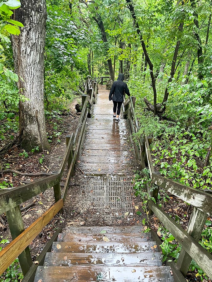 Stairway to heaven? Nope, just a really cool walkway in Matthiessen. But the views might make you think otherwise!