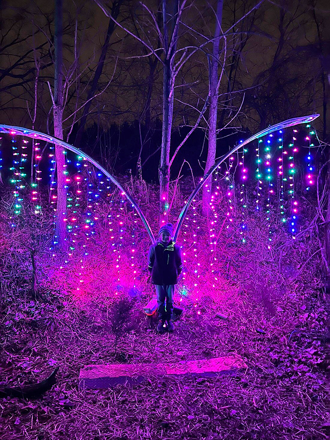 Wings of light take flight! This illuminated butterfly makes you wonder if Tinkerbell moonlights as an electrician.