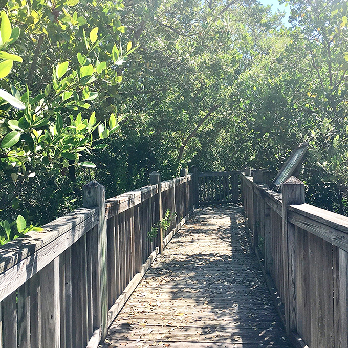 Welcome to the jungle... beach edition! This boardwalk is your ticket to a Floridian paradise.