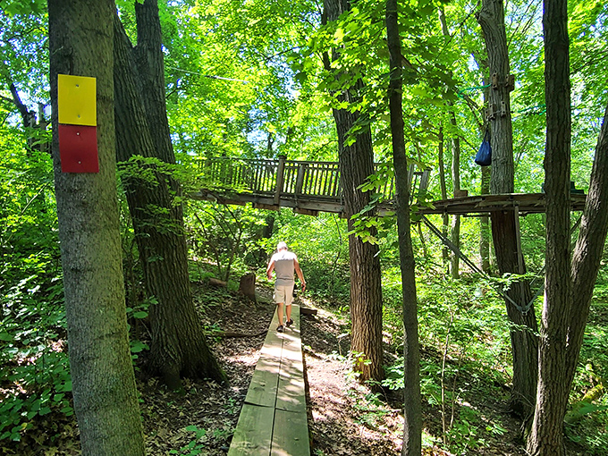 A stroll through nature's playground, where every step is an adventure. This boardwalk is like a yellow brick road for outdoor enthusiasts.