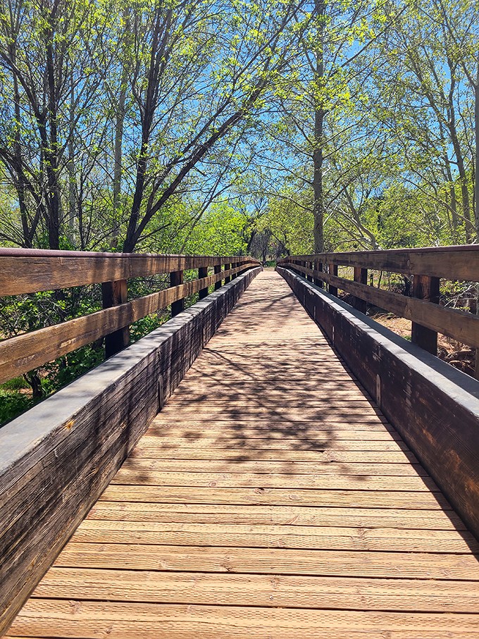 This boardwalk isn't in Atlantic City, folks. It's a bridge to nature, leading you through a lush oasis in the desert.