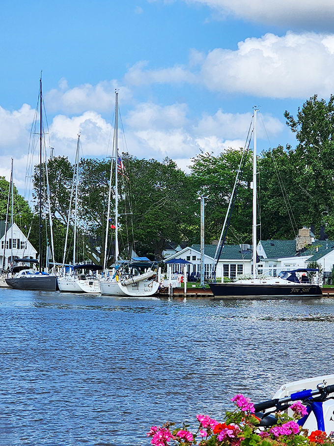 "Sailboats bobbing like apples in a festive punch bowl. Add a splash of sunshine and a garnish of fluffy clouds for the perfect summer cocktail."