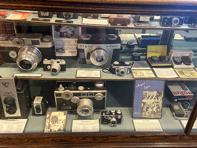 Say cheese to history! This camera lineup is a visual timeline of how we've captured our world, one click at a time.