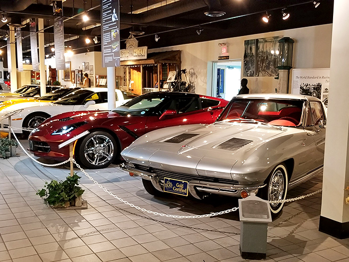 From muscle cars to luxury cruisers, this collection's got more personality than a Fast and Furious movie marathon. Vin Diesel, eat your heart out!