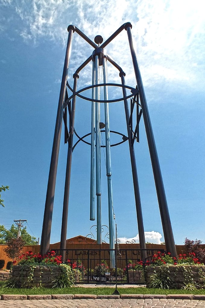 Up close and personal with a musical giant. It's like peering into the inner workings of a celestial instrument.