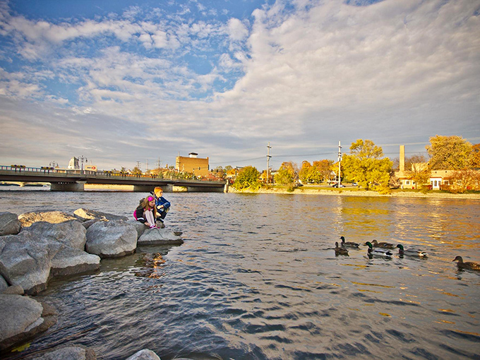 Duck, duck, photo op! The Fox River isn't just for the birds &ndash; it's a slice of serenity in the heart of town.