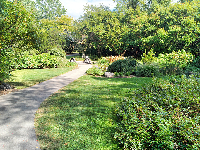 Follow the yellow brick road? Nah, this winding path through lush greenery is way more inviting. No flying monkeys, guaranteed!