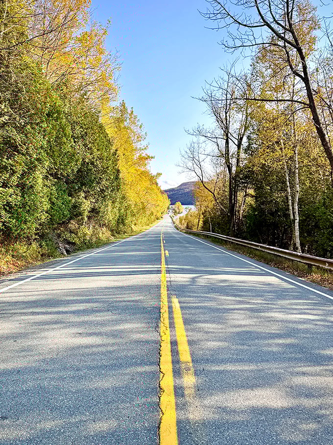 The road less traveled? Not this one. But with views like these, you won't mind sharing the journey.